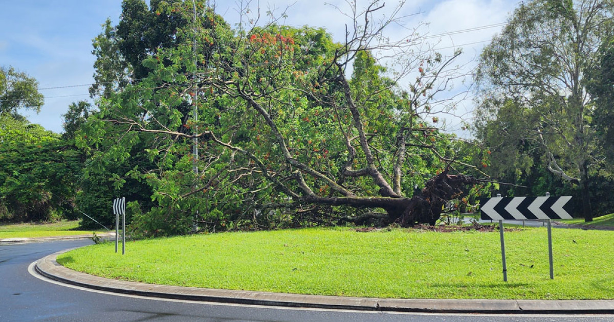 Ringing in the New Year | Cairns Local News - Free to read No ...