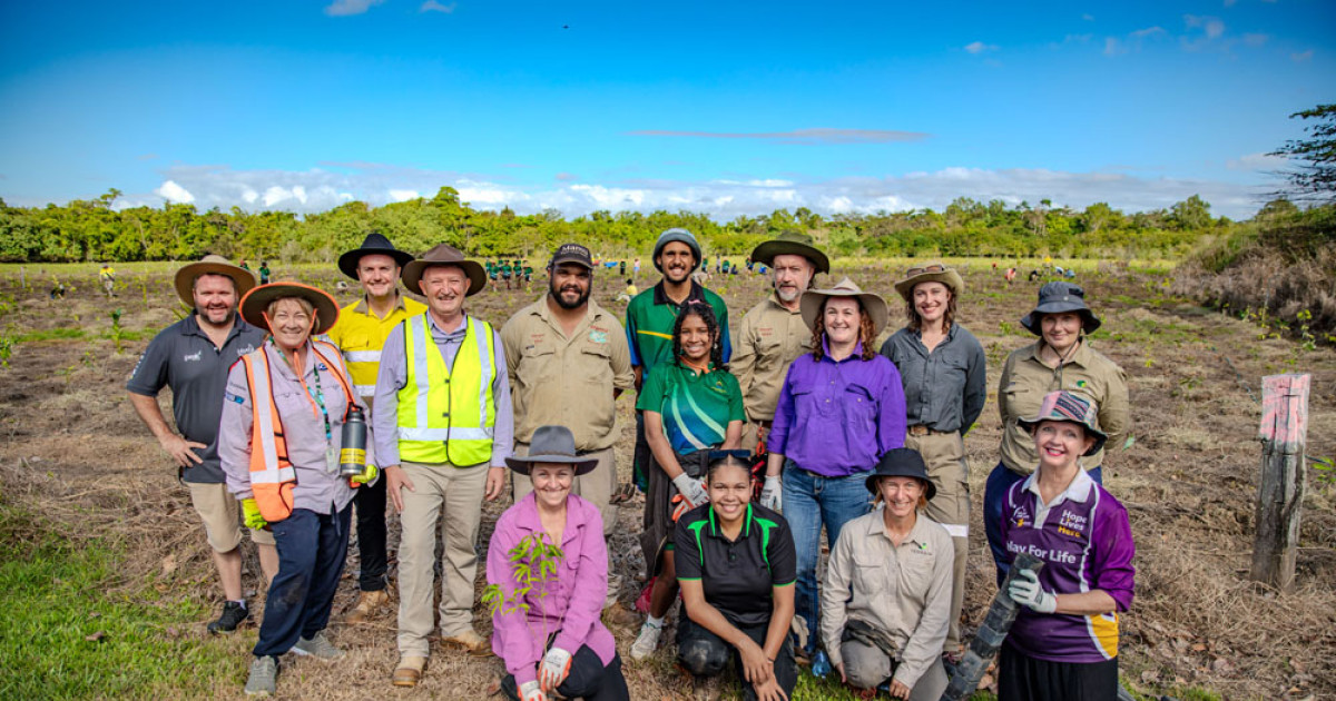 Lots of credit due to trees | Cairns Local News - Free to read No ...
