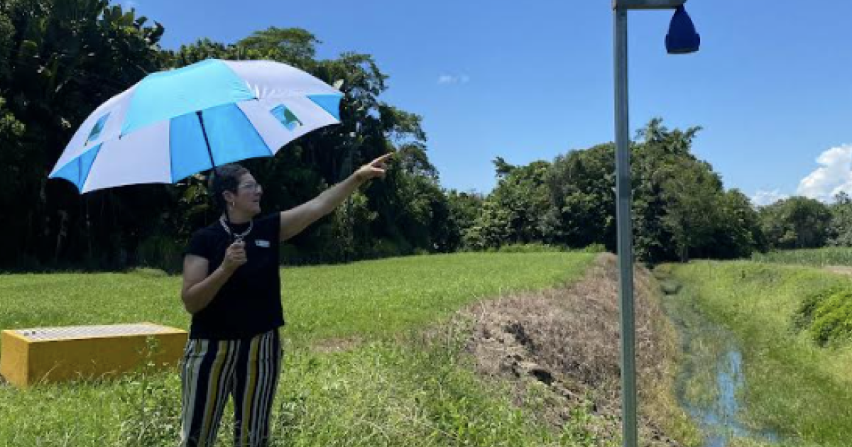 Flash Flooding Sensors Cairns Local News Free To Read No