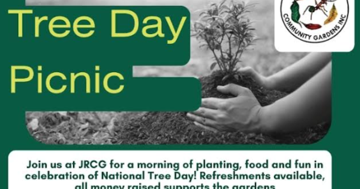 National Tree Day activities | Cairns Local News - Free to read No ...